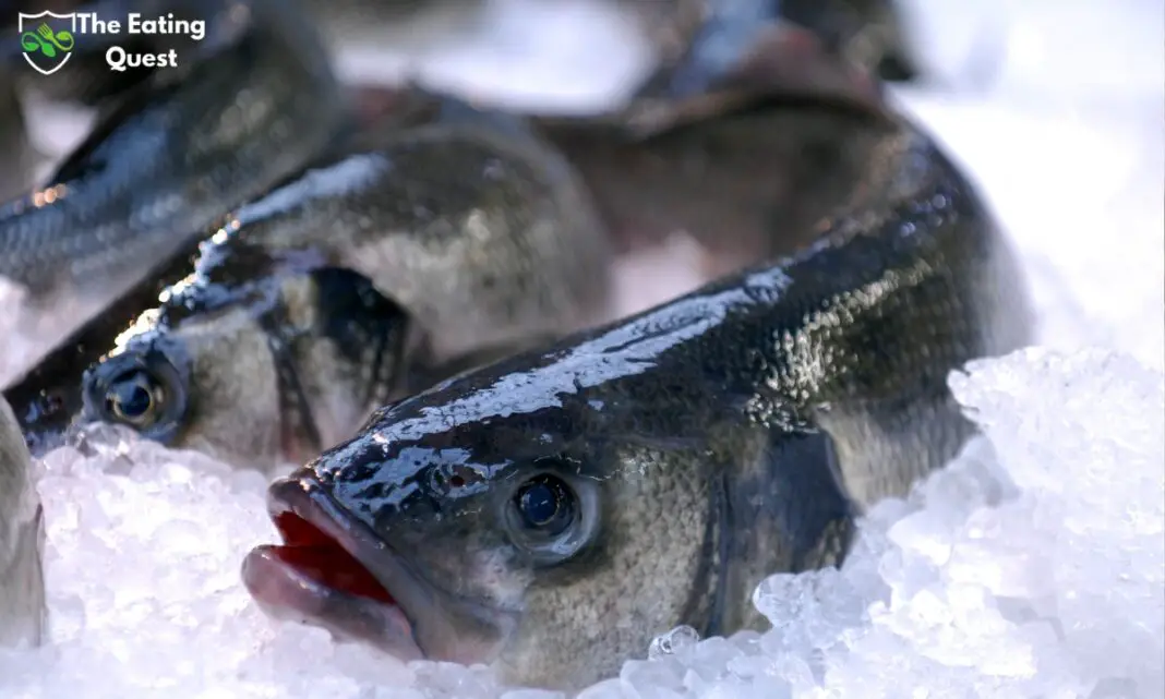 What is Loup de Mer? A Delicious Mediterranean Fish - The Eating Quest