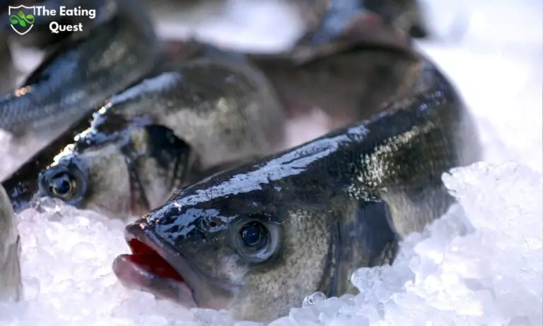 What is Loup de Mer? A Delicious Mediterranean Fish - The Eating Quest